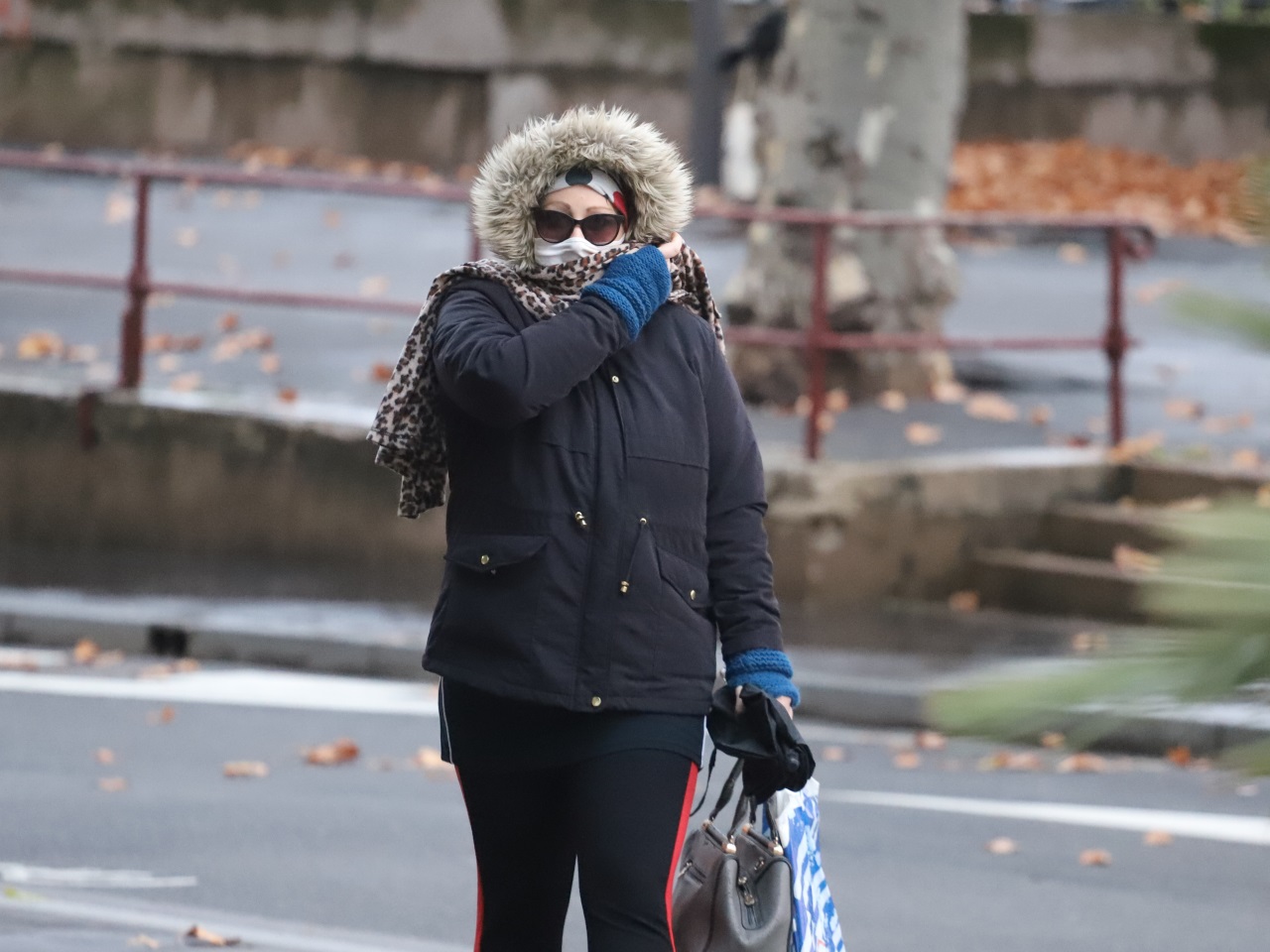 Procès Fiona à Lyon : 20 ans de prison pour Cécile Bourgeon, 18 ans ...
