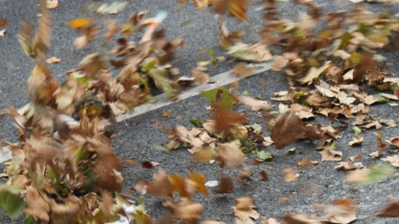 Tempête Benjamin : à quoi faut-il s’attendre à Lyon et dans le Rhône