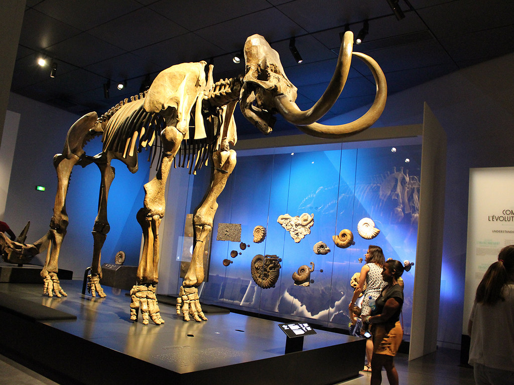 Quels sont les musées et les attractions les plus visités à Lyon